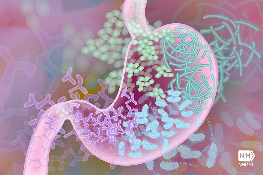 Why Soil Microbes are Key to your Health – NM Healthy Soil Working Group