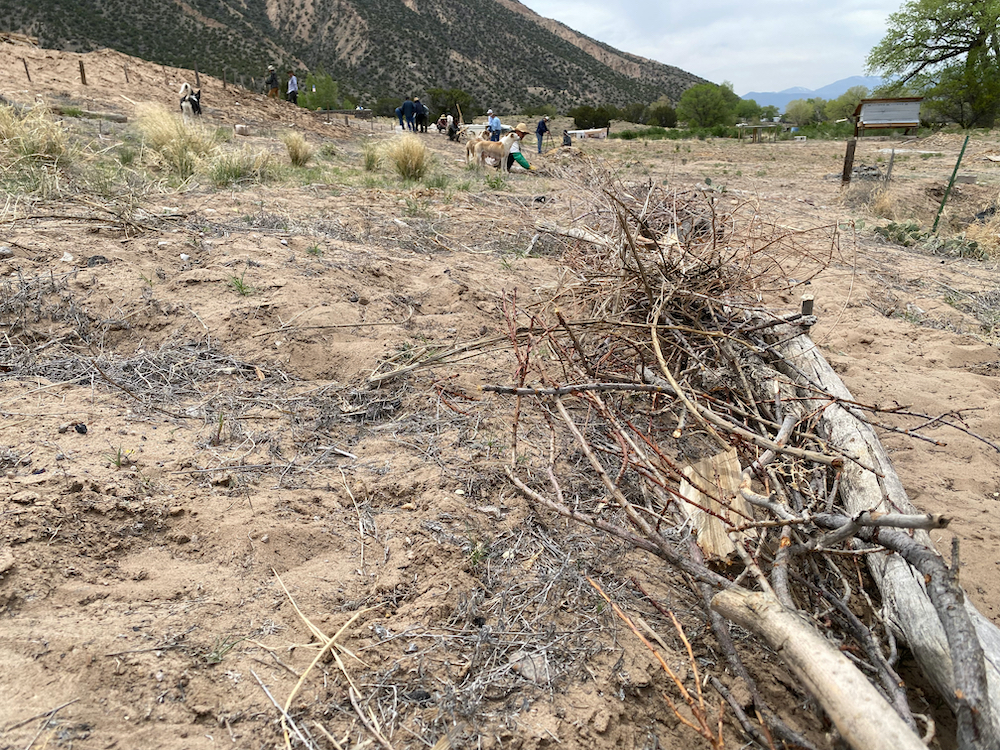 Soil Building with Swales – NM Healthy Soil Working Group